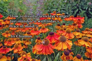 Poems about Anger – Sri Chinmoy's poetry