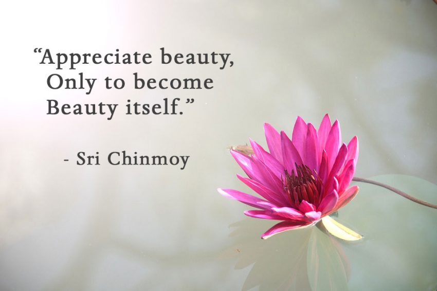 Poems on Beauty – Sri Chinmoy's poetry