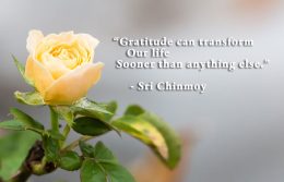 Poems about Gratitude – Sri Chinmoy's poetry